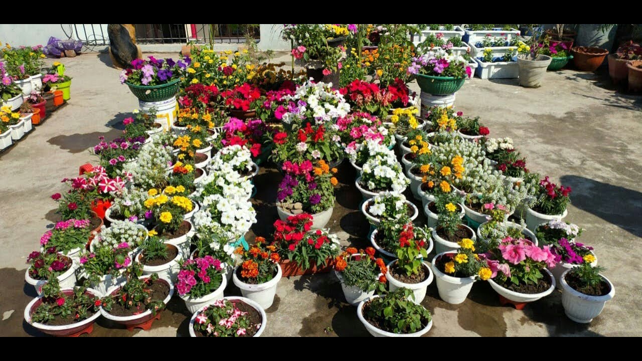 Spring garden overview // garden overview 2020 - YouTube