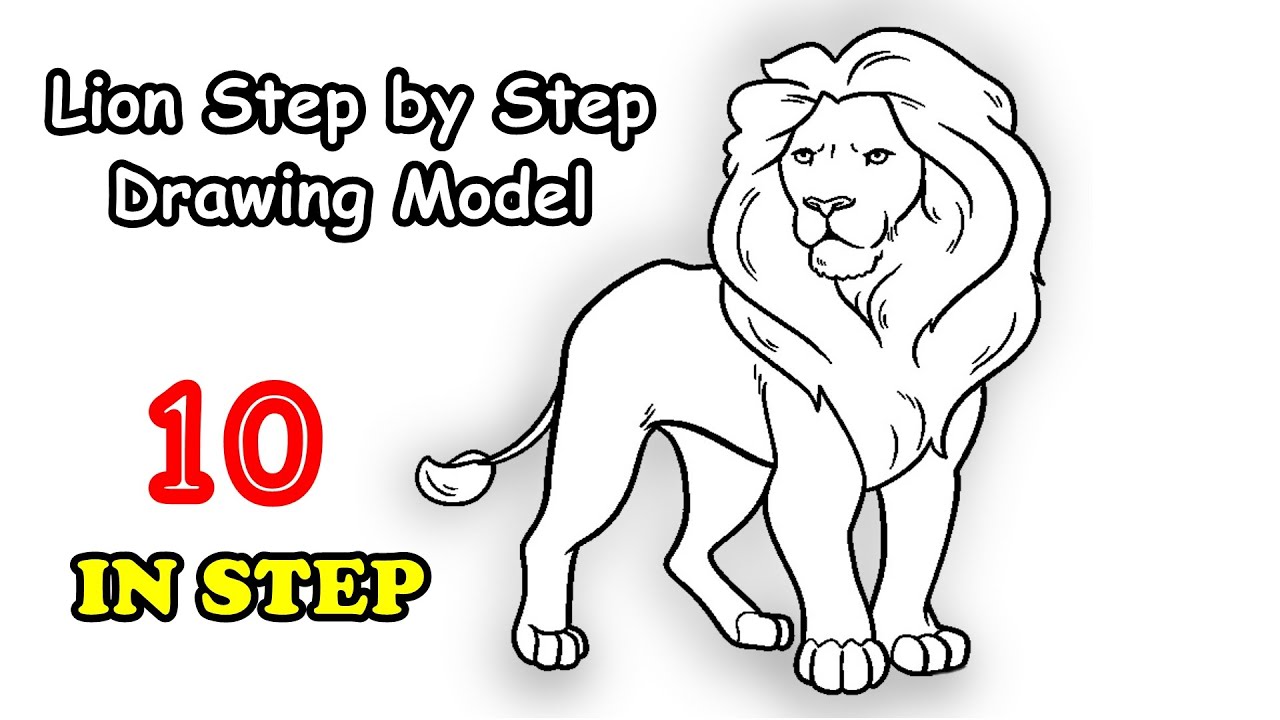 Step by Step Lion Drawing Model for Everyone! Draw a Lion 🦁 - YouTube
