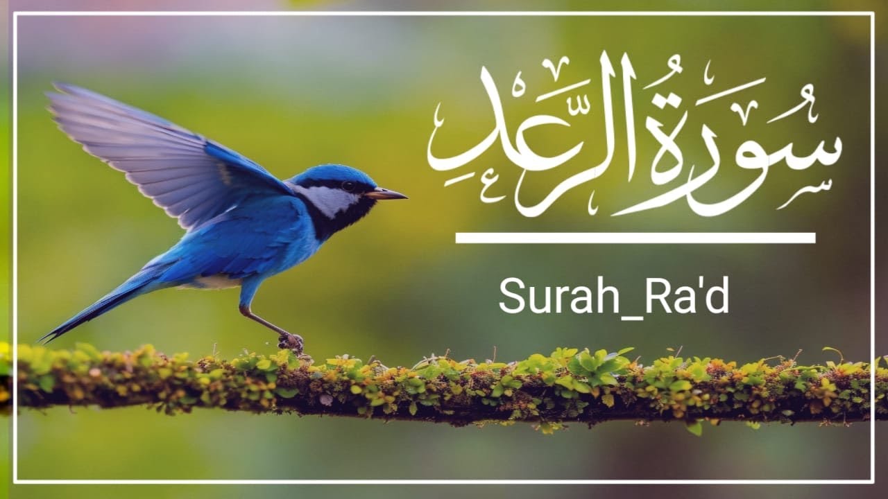 Surah - Al Ra’d | beautiful quranic recitation | heart touching quran ...