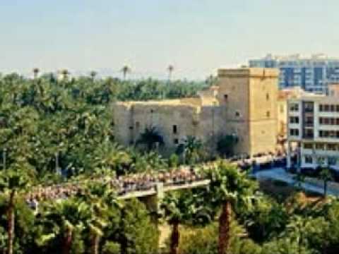 Elche City largest palm forest in Europe - YouTube