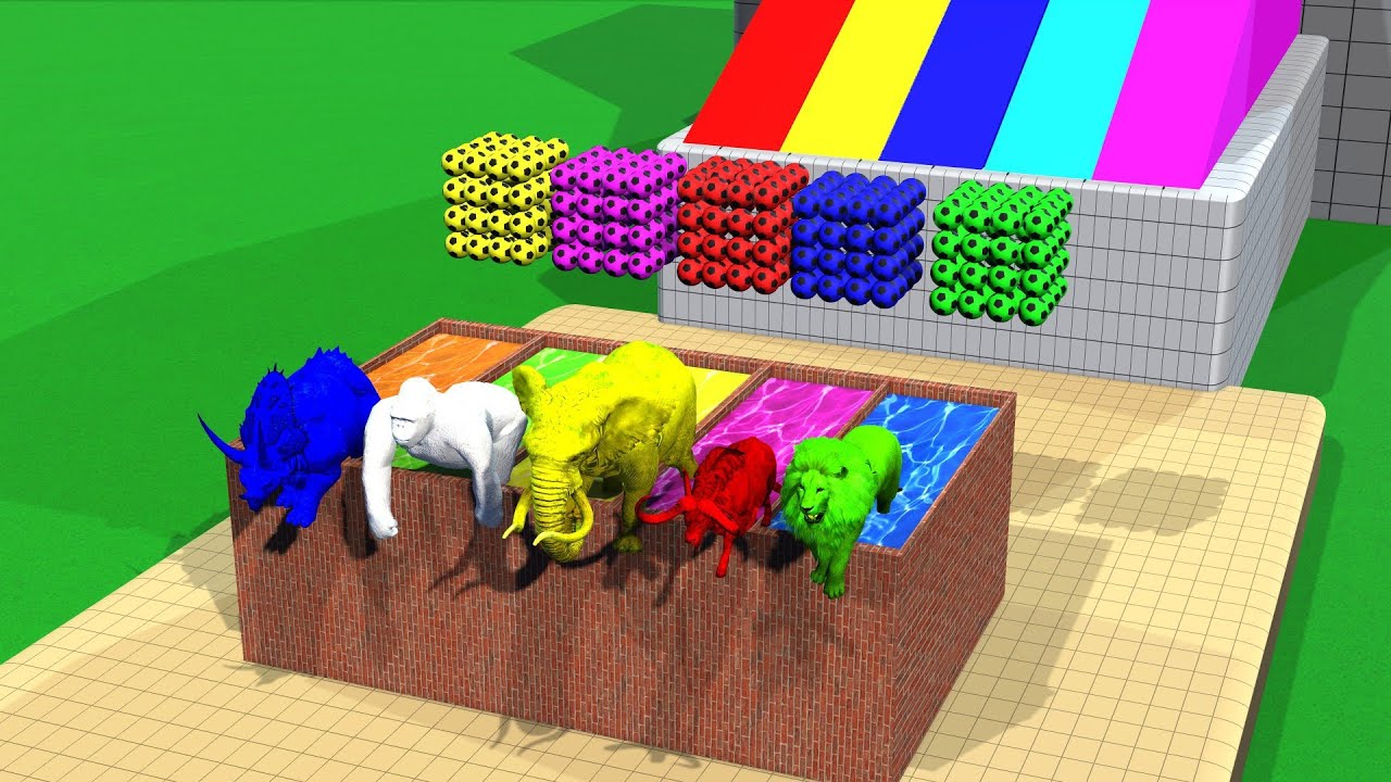 Long Slide Animal Animation!elephant! Lion! Gorilla! Dinosaur - YouTube
