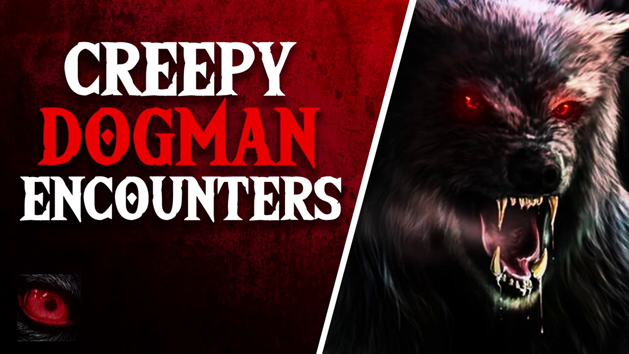 THE SILENT ASSASSIN - 4 SCARY AND CREEPY DOGMAN ENCOUNTERS - What Lurks ...