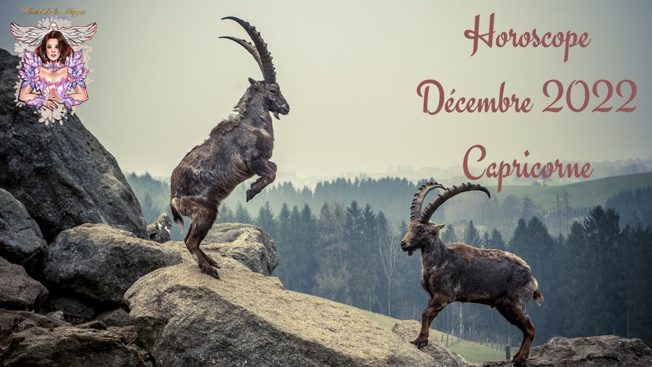 Sitemapcdatahttpsintdreferenzcomhoroscope Capricorne Decembre 2022null