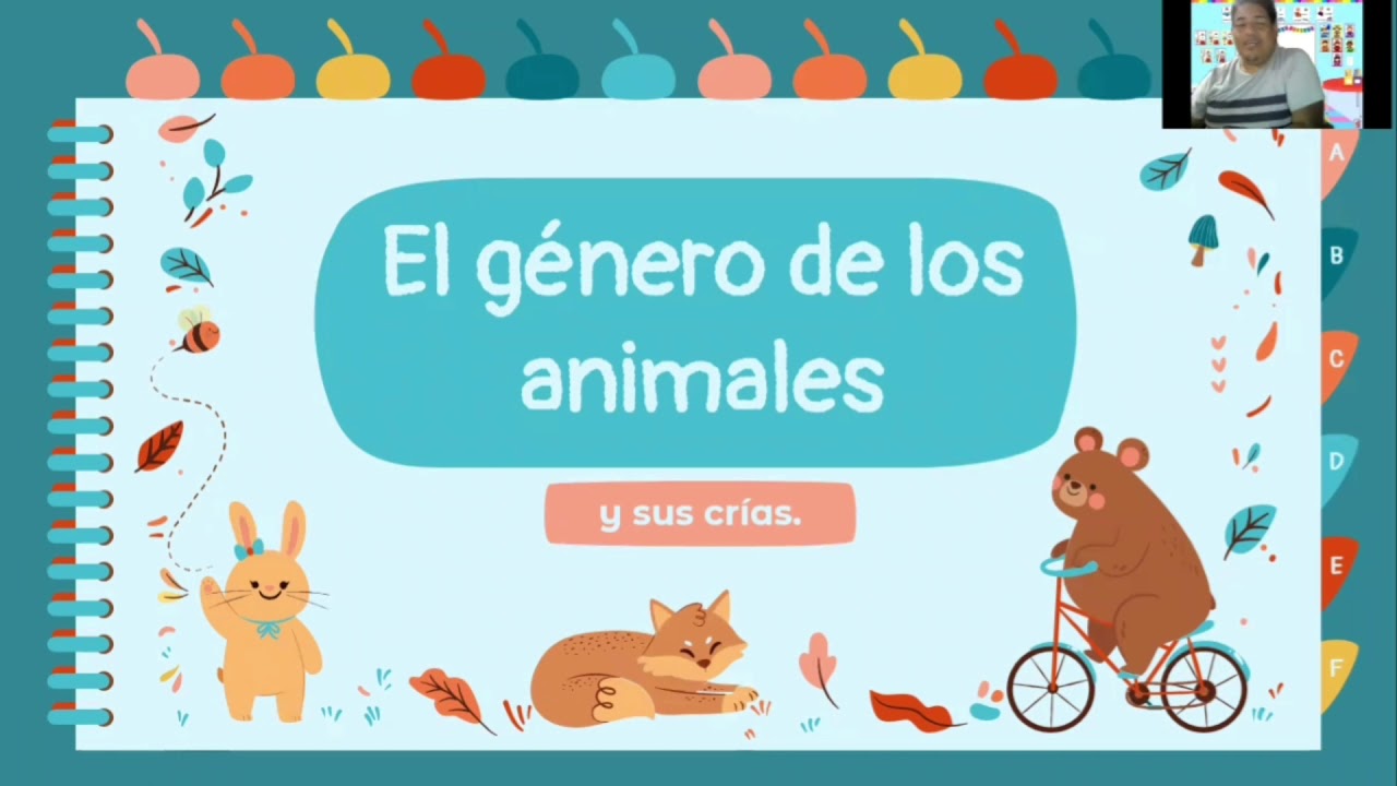 GÉNERO DE LOS ANIMALES Y SUS CRÍAS - YouTube