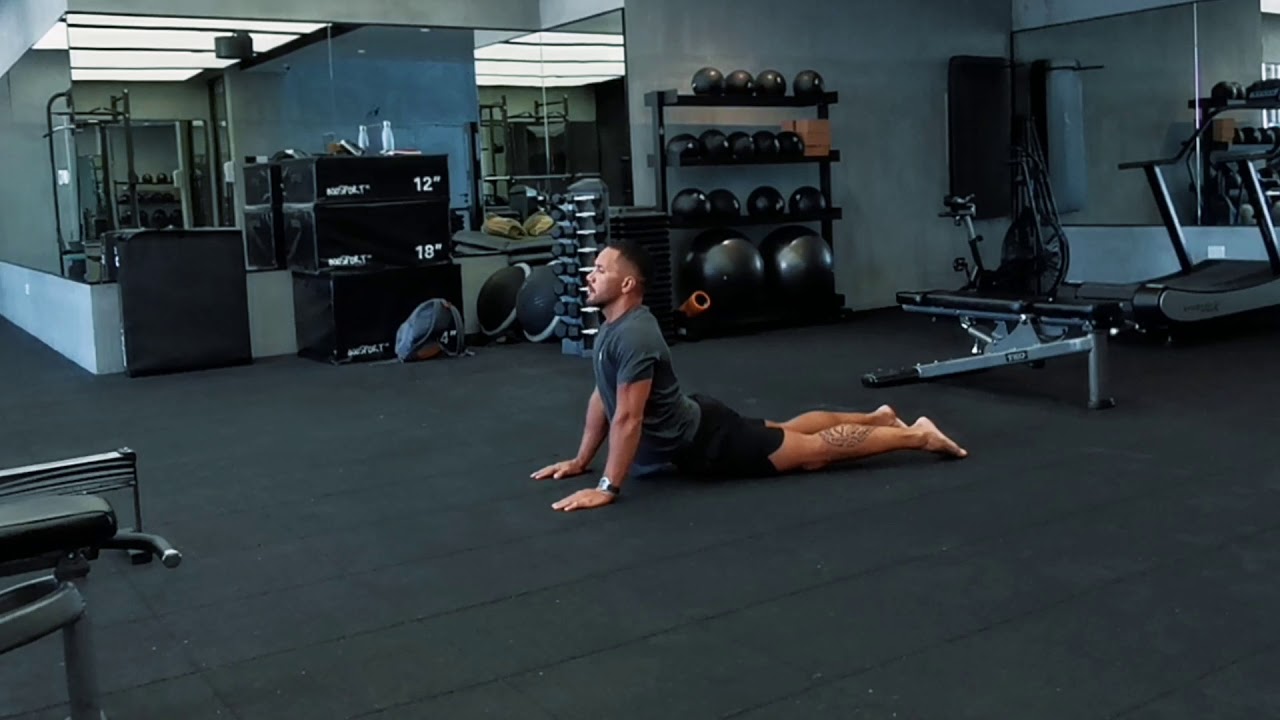 Cobra push ups - YouTube