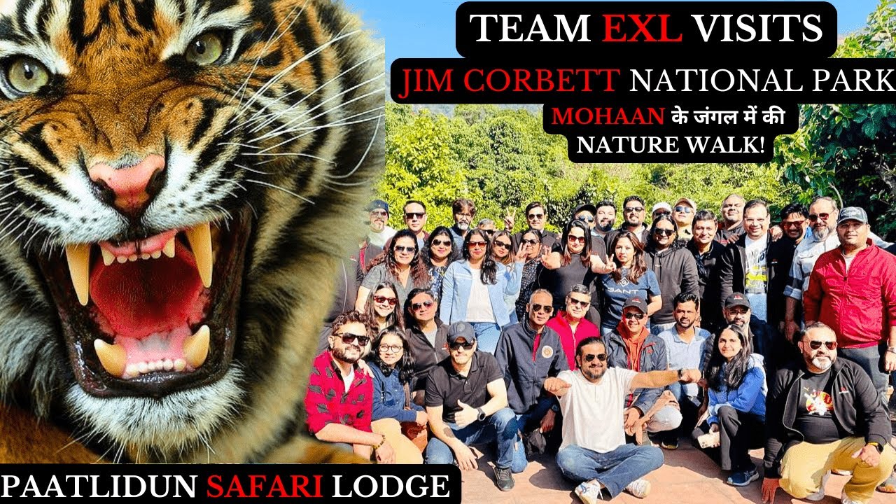 TIGER TERRITORY में की Trekking | Jim Corbett National Park #tiger # ...