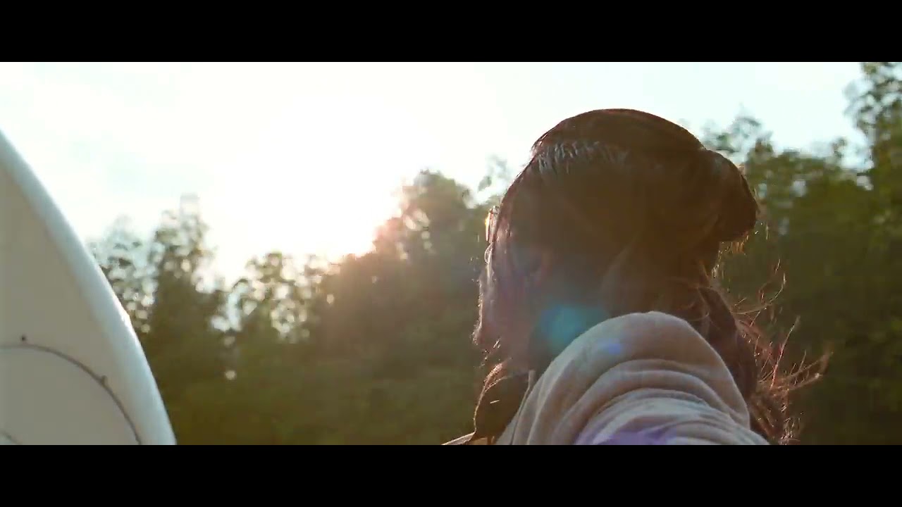 Shah Rukh Khan's Entry Scene in DON 2 - YouTube