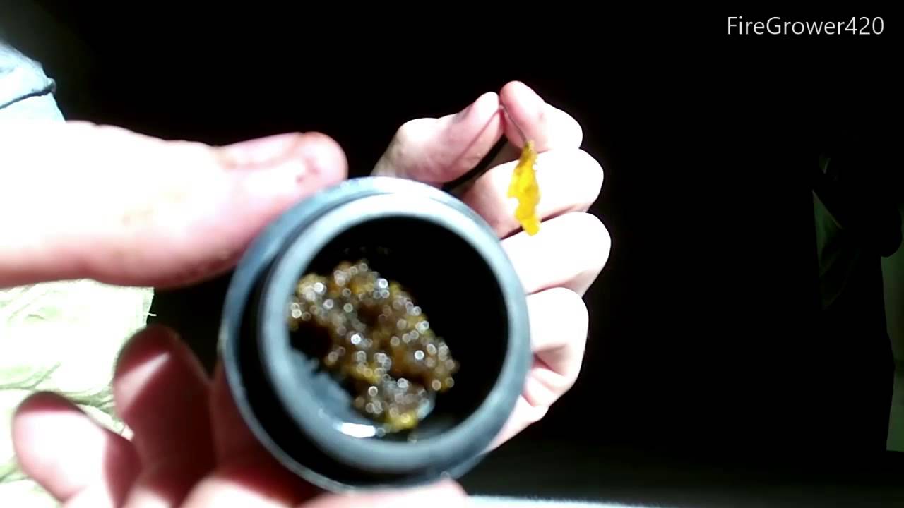 Fat Dabs of Bubba Kush BHO - YouTube