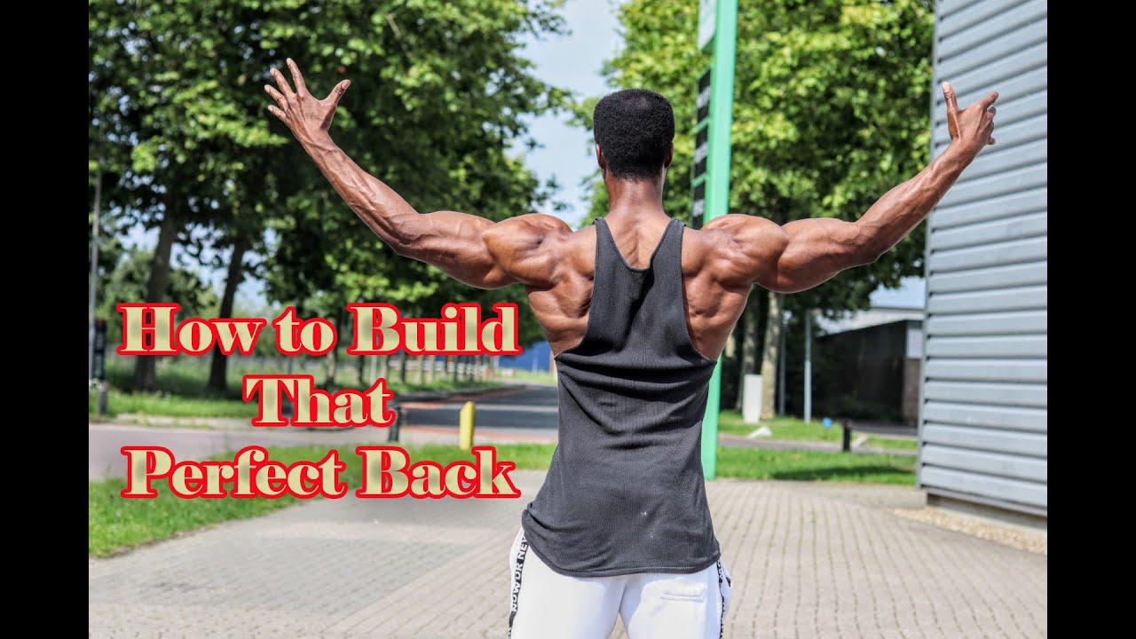 How to build that Perfect Back - YouTube