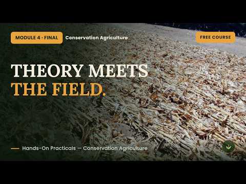 How to Build Disease-Free Living Soil (Full Field Demo) 🌱