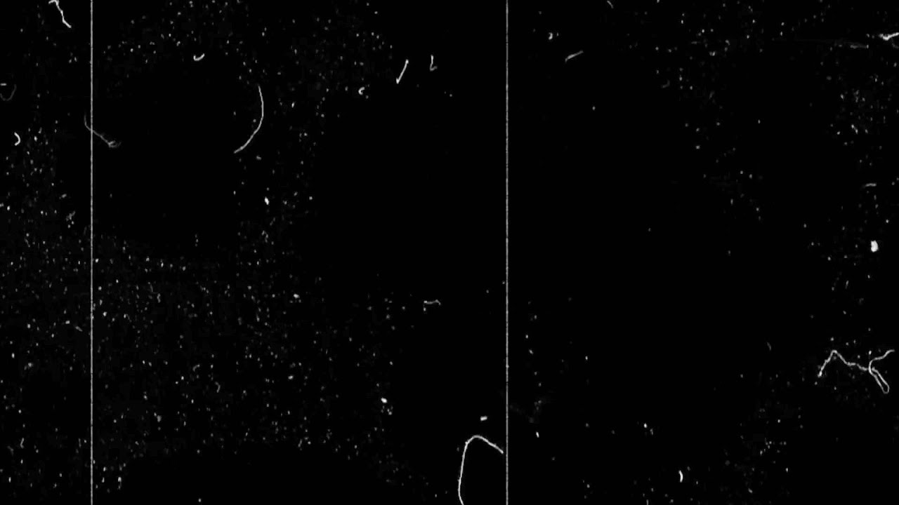 Old Film Grain Overlay Video - YouTube