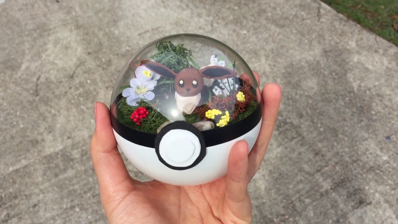 Eevee Pokeball Terrarium [Openable] - YouTube