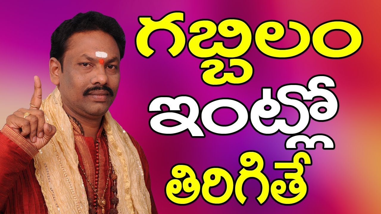 గబ్బిలం ఇంటిలో తిరిగితే | True Facts About The Bats | Bat In House ...