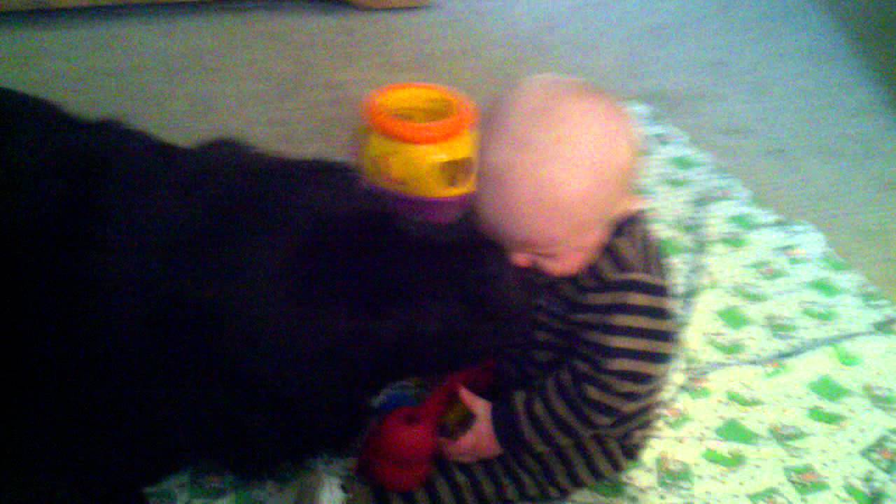 Moose tries to make baby stop crying - YouTube