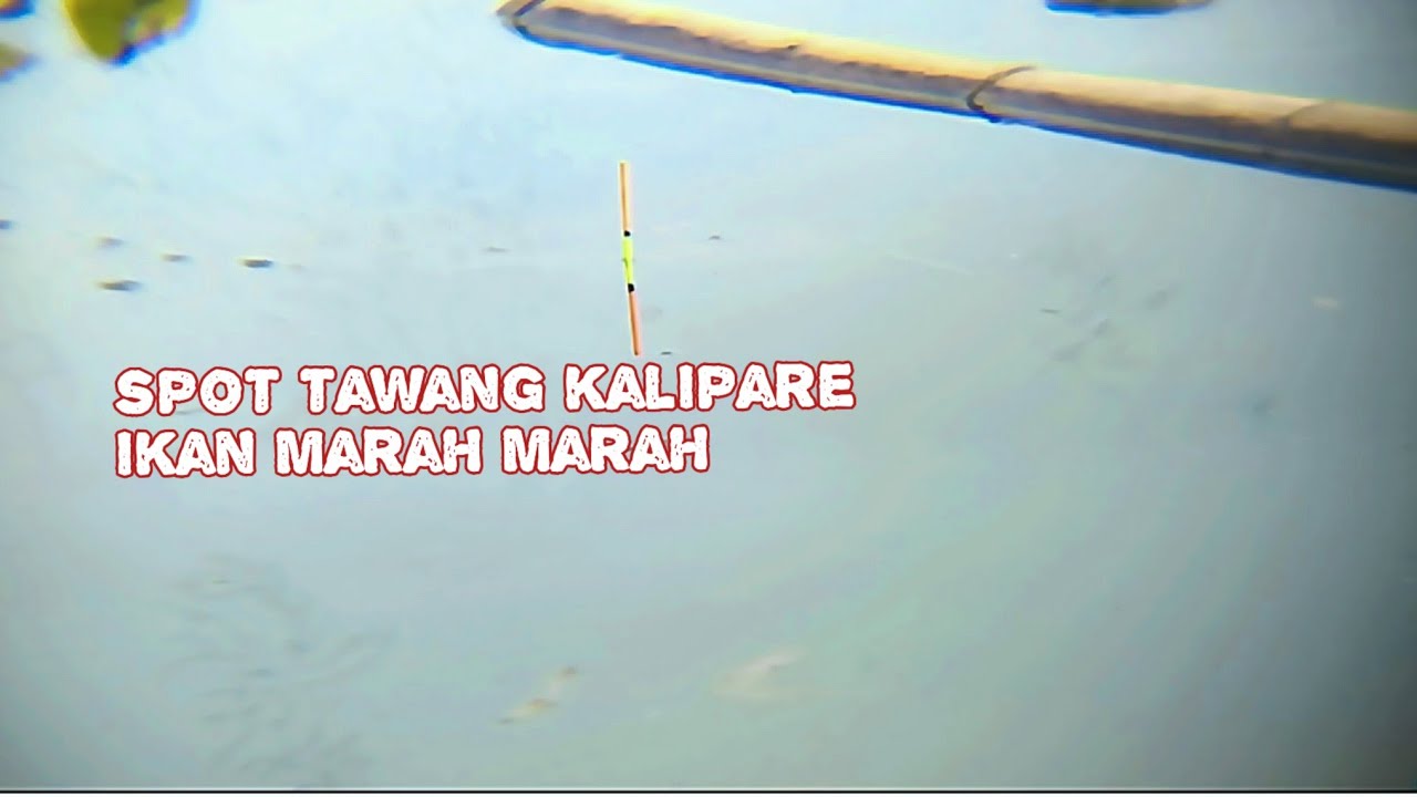 spot tembok kalipare malang jatim@DWmancing - YouTube