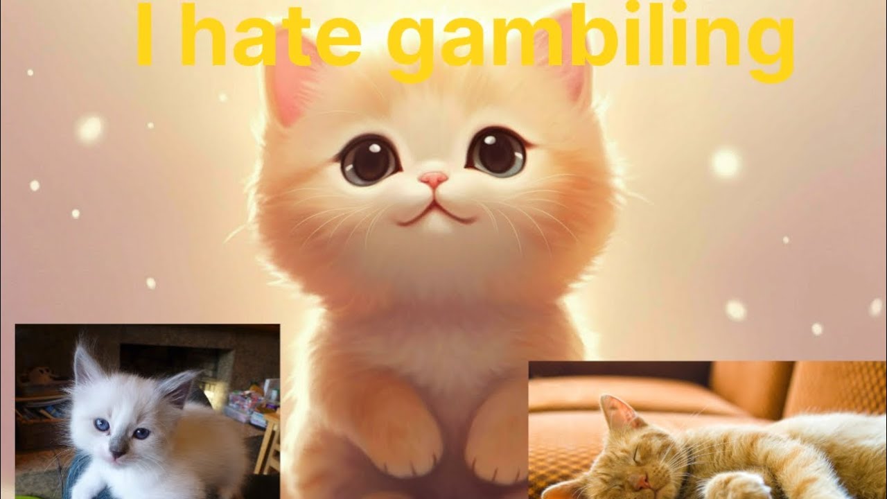 Cookie Run Kingdom - Playing games with cats 1 (biscuits or cookies ...