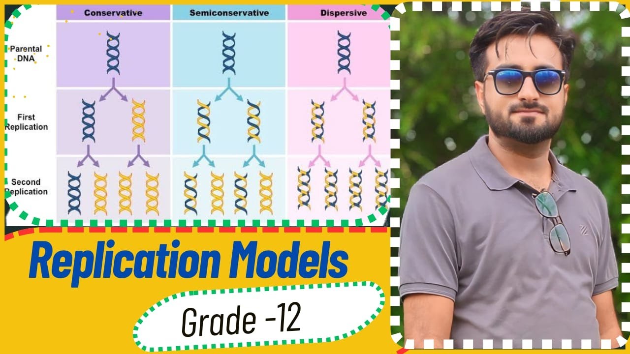 Replication Models | Semiconservative Replication | Chromosome & DNA | 2nd Year Biology - YouTube