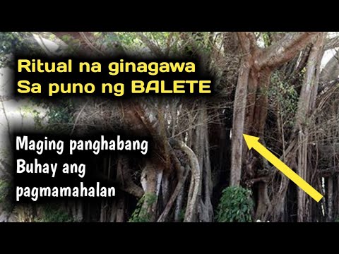 Ritual na ginagawa sa balete upang habang bubay ang pagmamahalan - YouTube