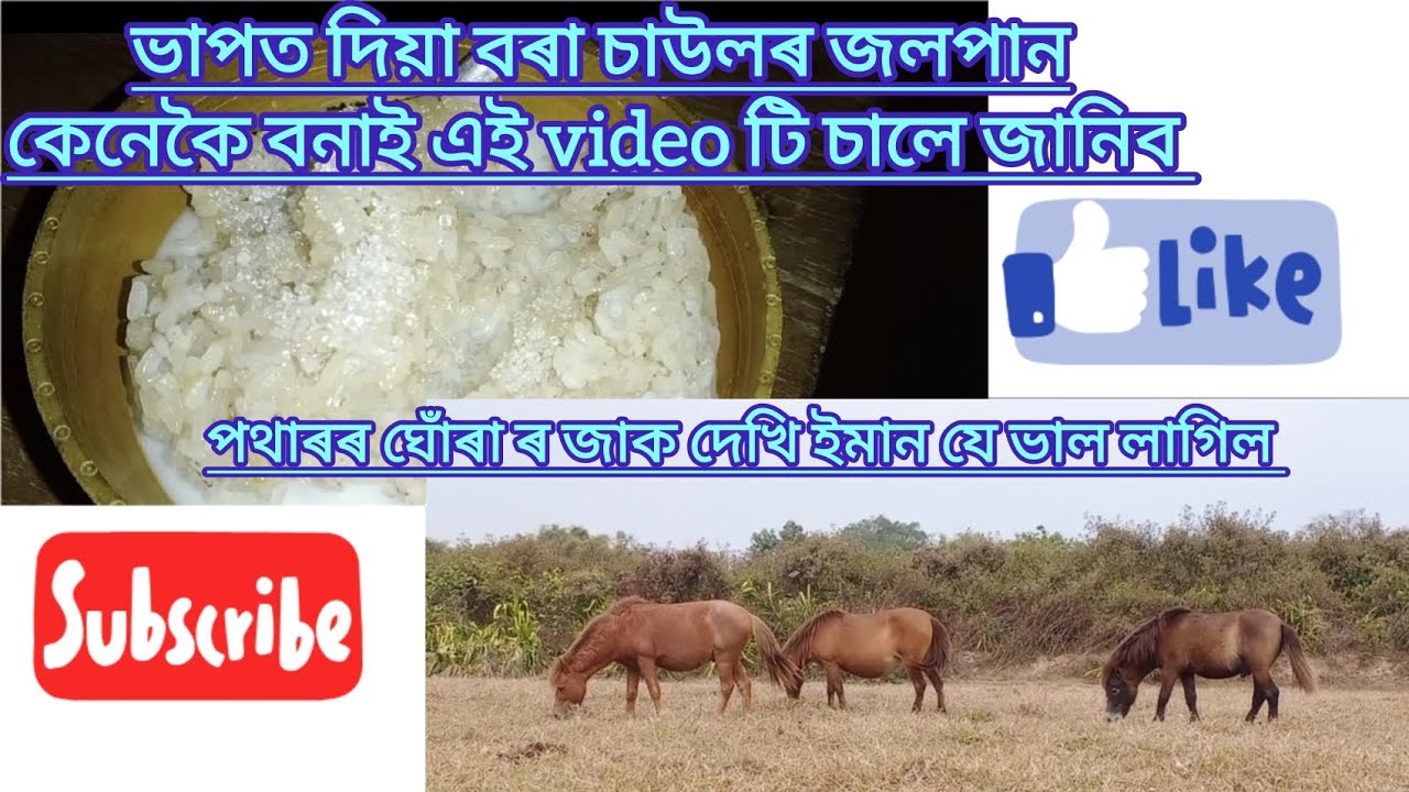 Steamed Bora Saul|| ভাপত বনুৱা বৰা চাউলৰ জলপান|| Assamese jalpan recipe ...