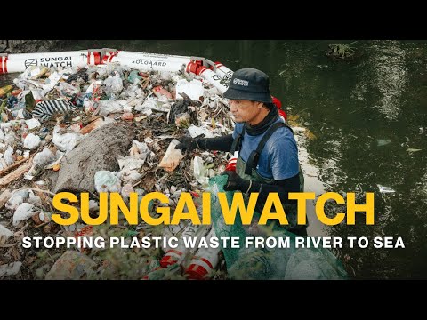 Sungai Watch: Stopping Plastic Waste From River to Sea | ThisWorld Official