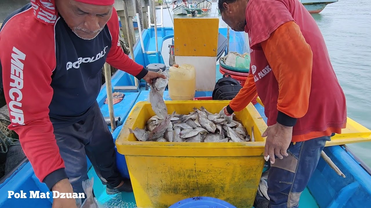 rezeki ikan barat (TRS3333) didaratkan jeti Lkim Marang - YouTube