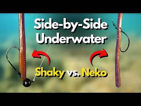 Neko vs Shaky Head: Underwater Look at What You NEED to Know