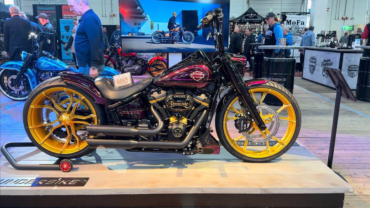 Harley Bikes Highlights 2024 in 4K 60 fps - YouTube