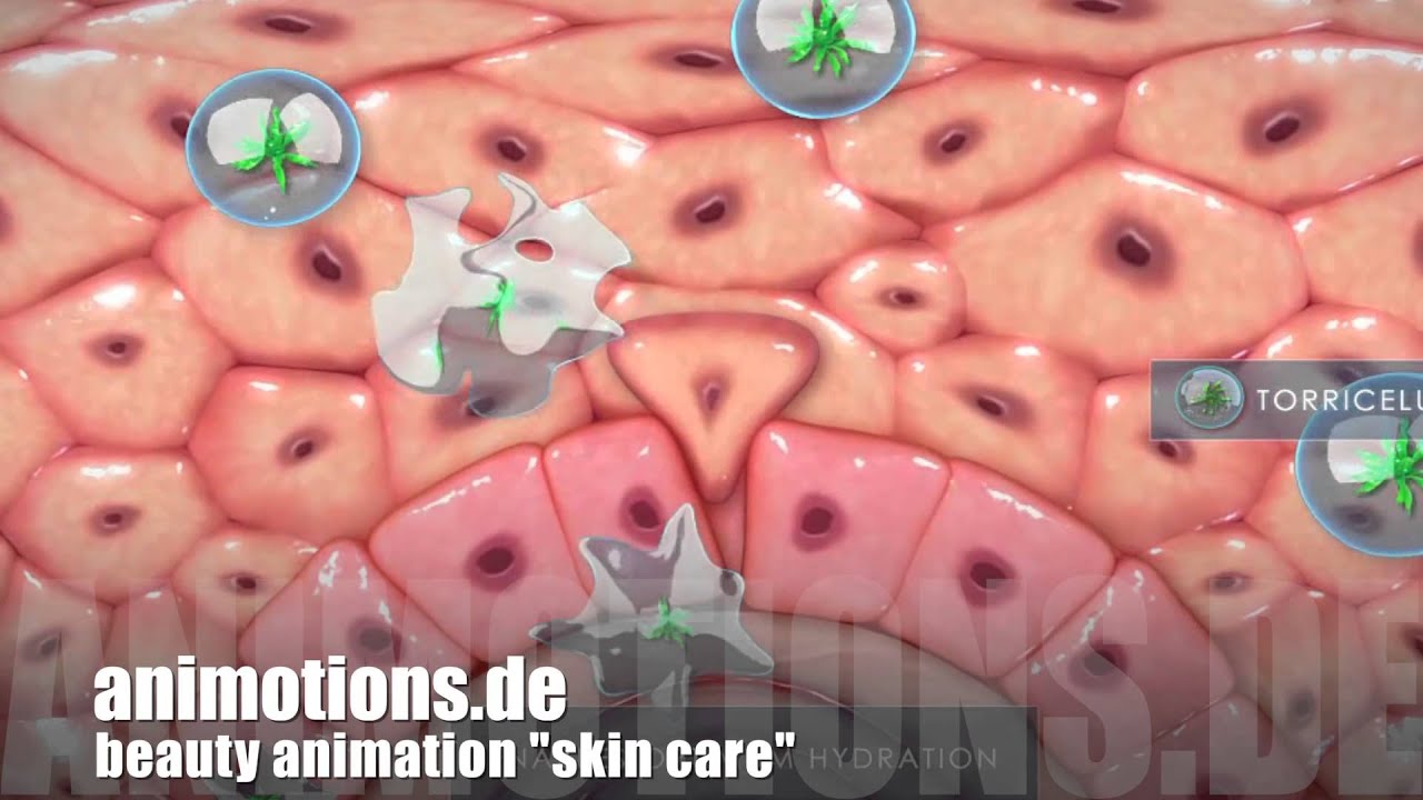 3D Beauty Animation - YouTube