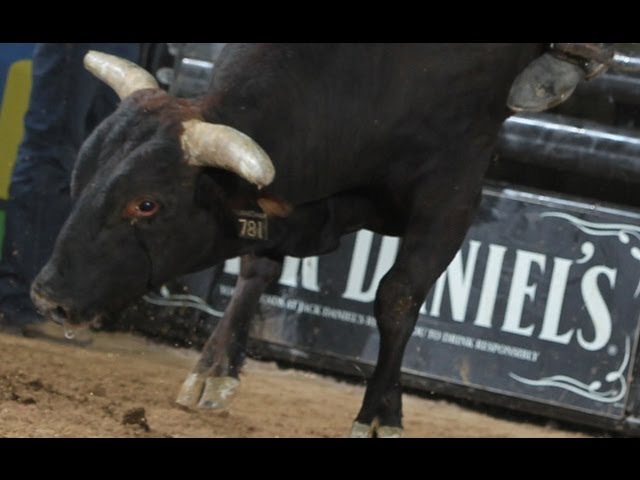 Pbr Bull Asteroid
