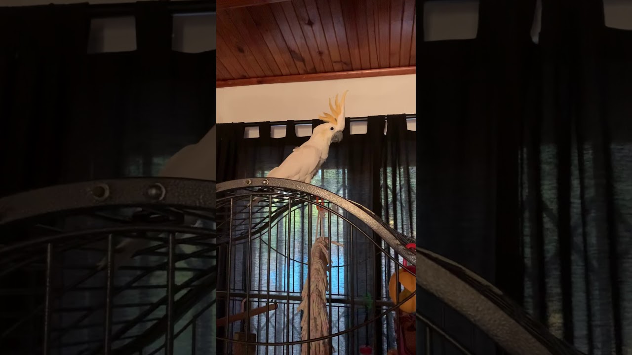 Bed time tantrum - YouTube