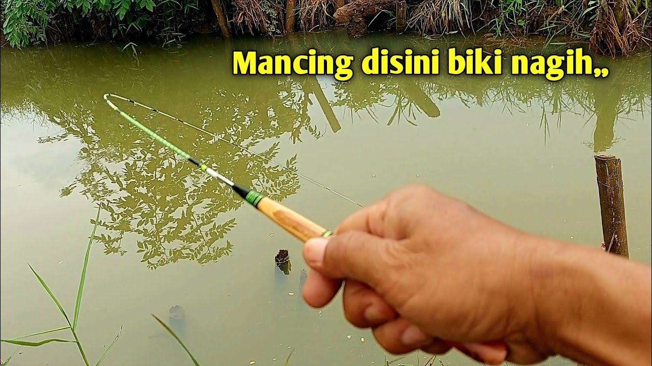 Mancing Ikan Wader di Sungai Kecil Mantap Bonus Nilem - YouTube