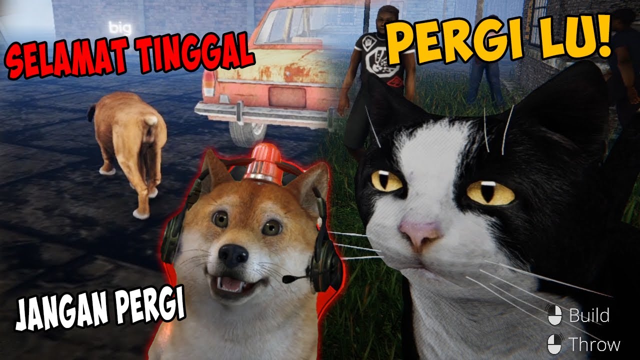 GARA-GARA BELI KUCING! ANJING OBIT PERGI SEMUA!!! | Streamer Life ...