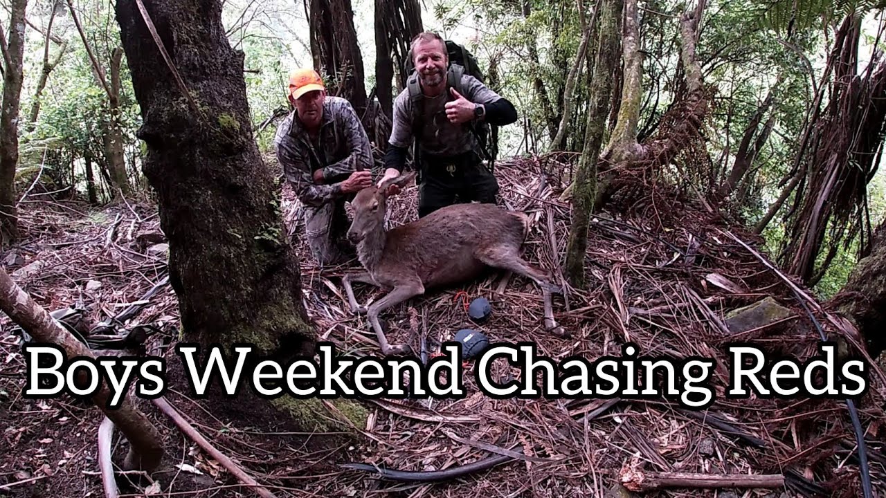 Boys Weekend Chasing Reds. DEER HUNTING NZ - YouTube