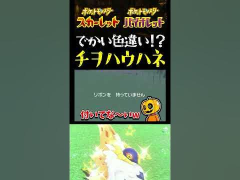 【ポケモンsv】証色違い厳選中に出た大きい「チヲハウハネ」は果たしてサイズ証を持ってるのか 【スカーレット】【ポケモン】【切り抜き】【色違い