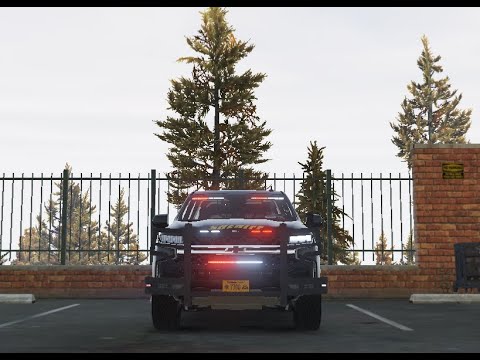LEO Patrol in FiveM! (SONYRP) GTA 5 RP - YouTube