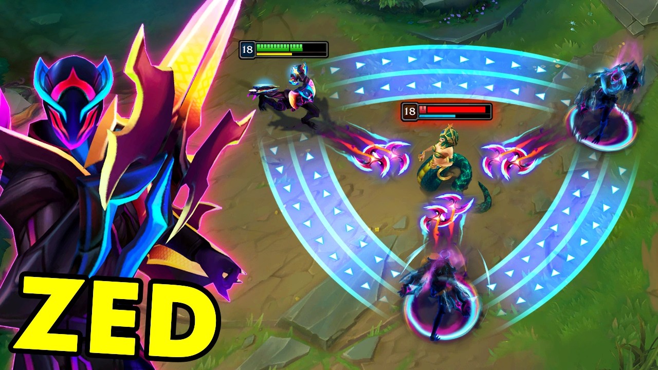 What 1000 Hours of ZED Looks Like... - YouTube