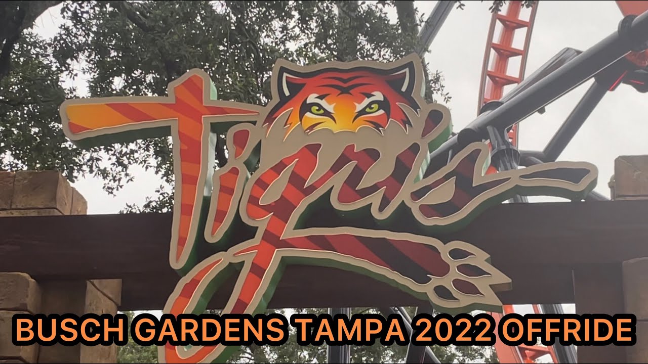 Tigris Busch Gardens Tampa 2022 Offride (No Copyright) - YouTube