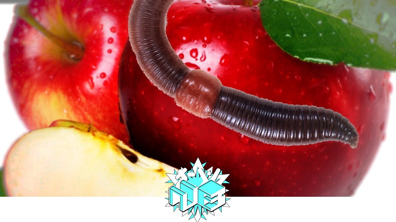 Spooky's House of Jumpscares | #8 ☠ Der Wurm ist raus! [German] Blind ...