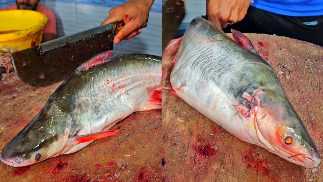 Amazing Cutting bornless fish!! sagar fish hoodi Bangalore - YouTube
