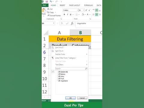 Data Filtering In Excel | Filter Shortcut Keys in Excel Tutoring Excel Tutorials Excel Pro Tips ...