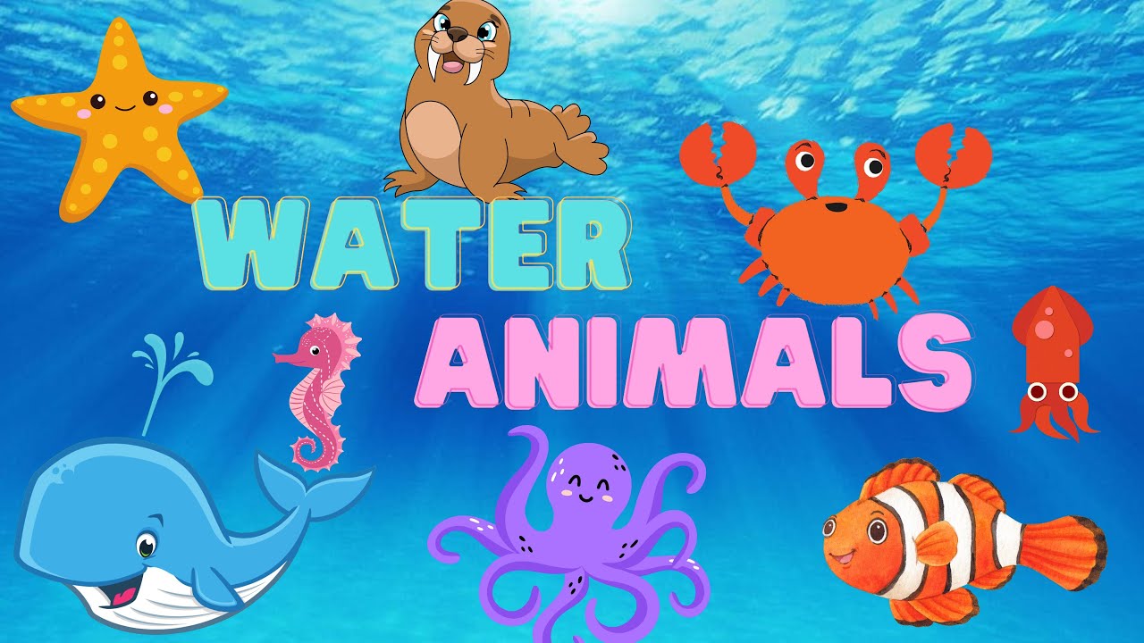 Learn Water Animals Name For Kids Clever Kiddie YouTube learn-water-animals-name-for-kids-clever-kiddie-youtube