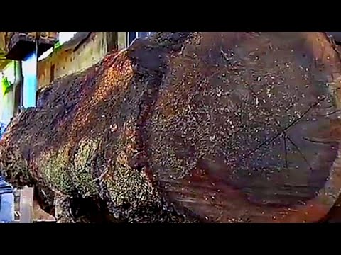 Expensive wood whose durability is beyond doubt || Sawmill