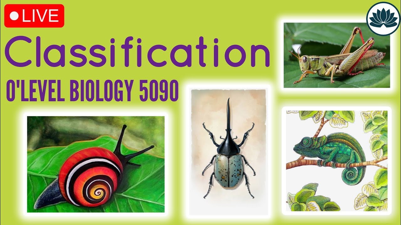 LIVE: Classification (Quick Revise) | OL Biology 5090 - YouTube
