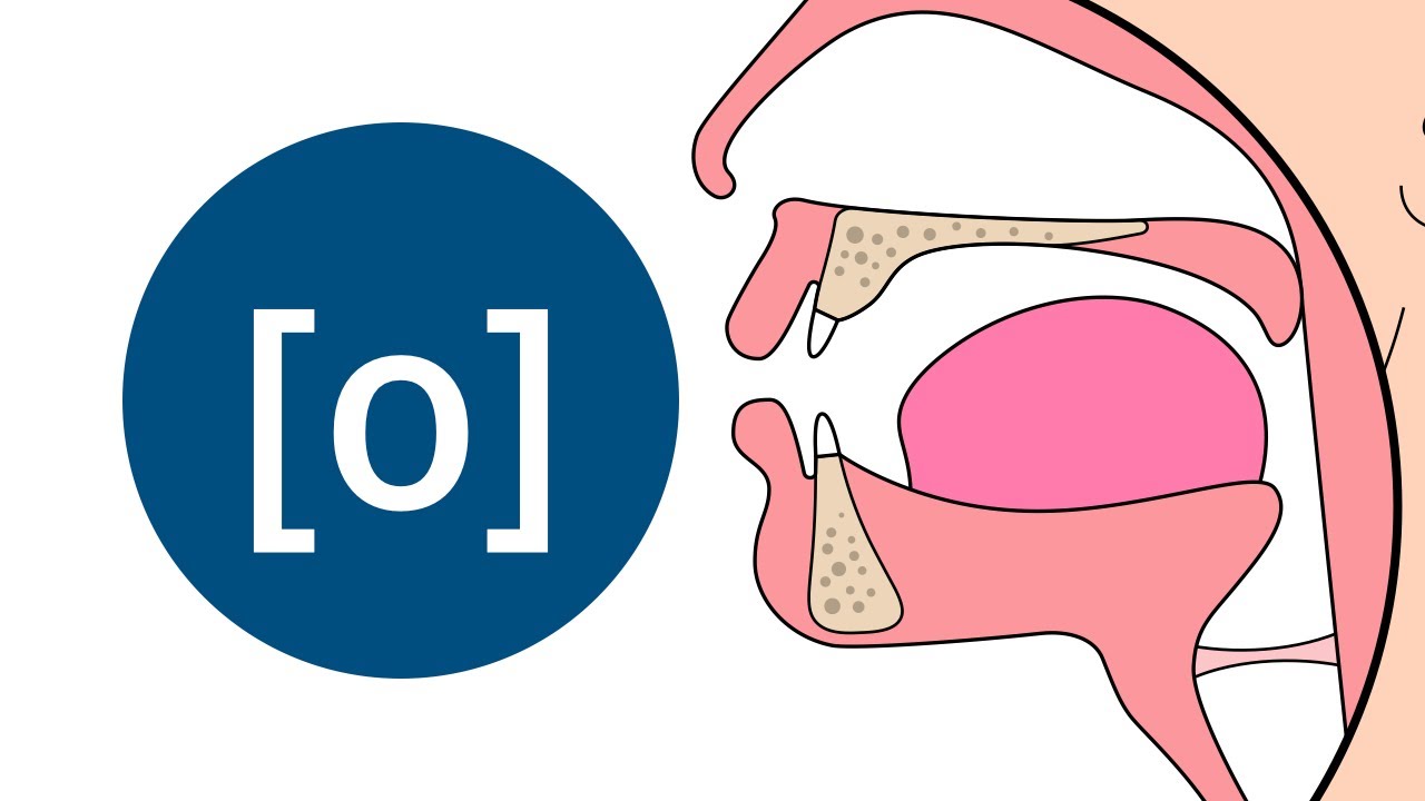 The Spanish vowel [o], as in "con" | Spanish Input Course 1 Section 1 ...