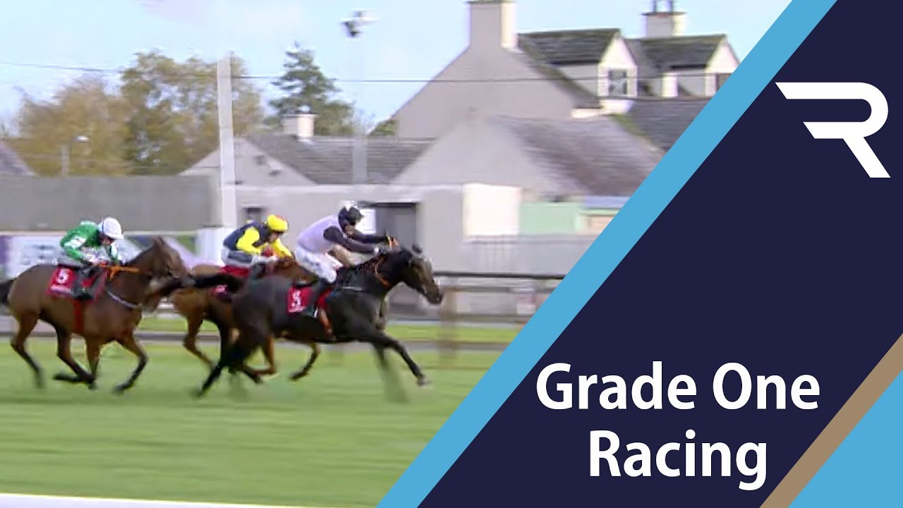 A FANTASTIC finish worthy of a Grade 1 in the Ladbrokes Champion Chase ...