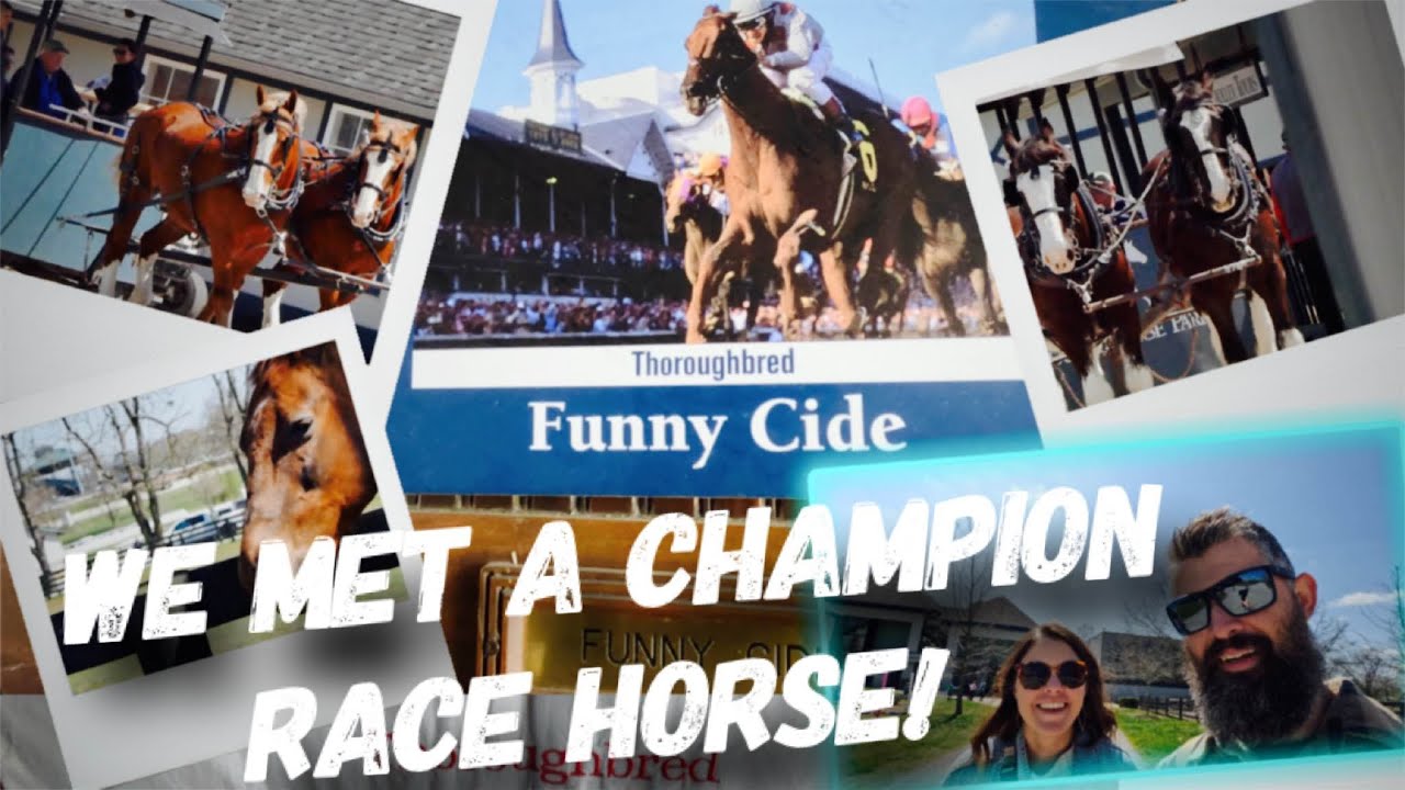 WE MET A CHAMPION RACE HORSE! | FUNNY CIDE | KENTUCKY HORSE PARK - YouTube