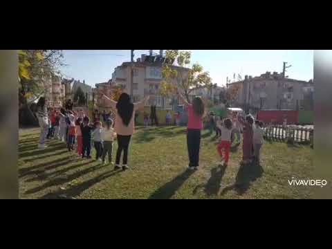 WhatsApp Video 2021 11 10 at 14 44 36