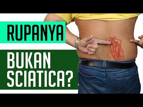 Mengelirukan Ramai Orang: Punca Sakit Punggung & Pinggul - Otot Quadratus Lumborum
