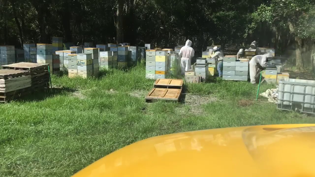 another time lapse video of beekeeping - YouTube