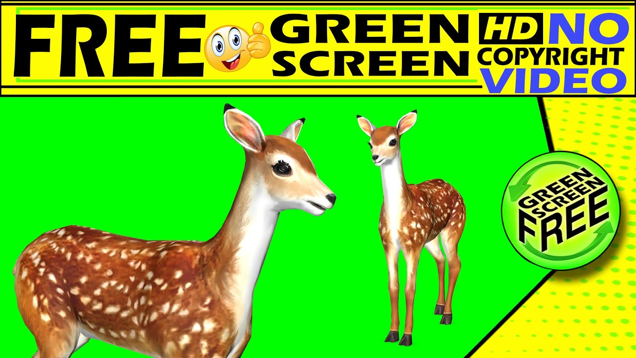 deer green screen Deer green screen HD different angles chroma key Deer ...